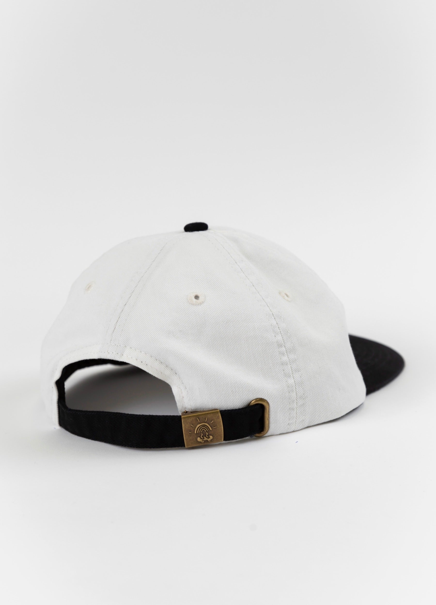 Rage 6 Panel – Eat Your Water